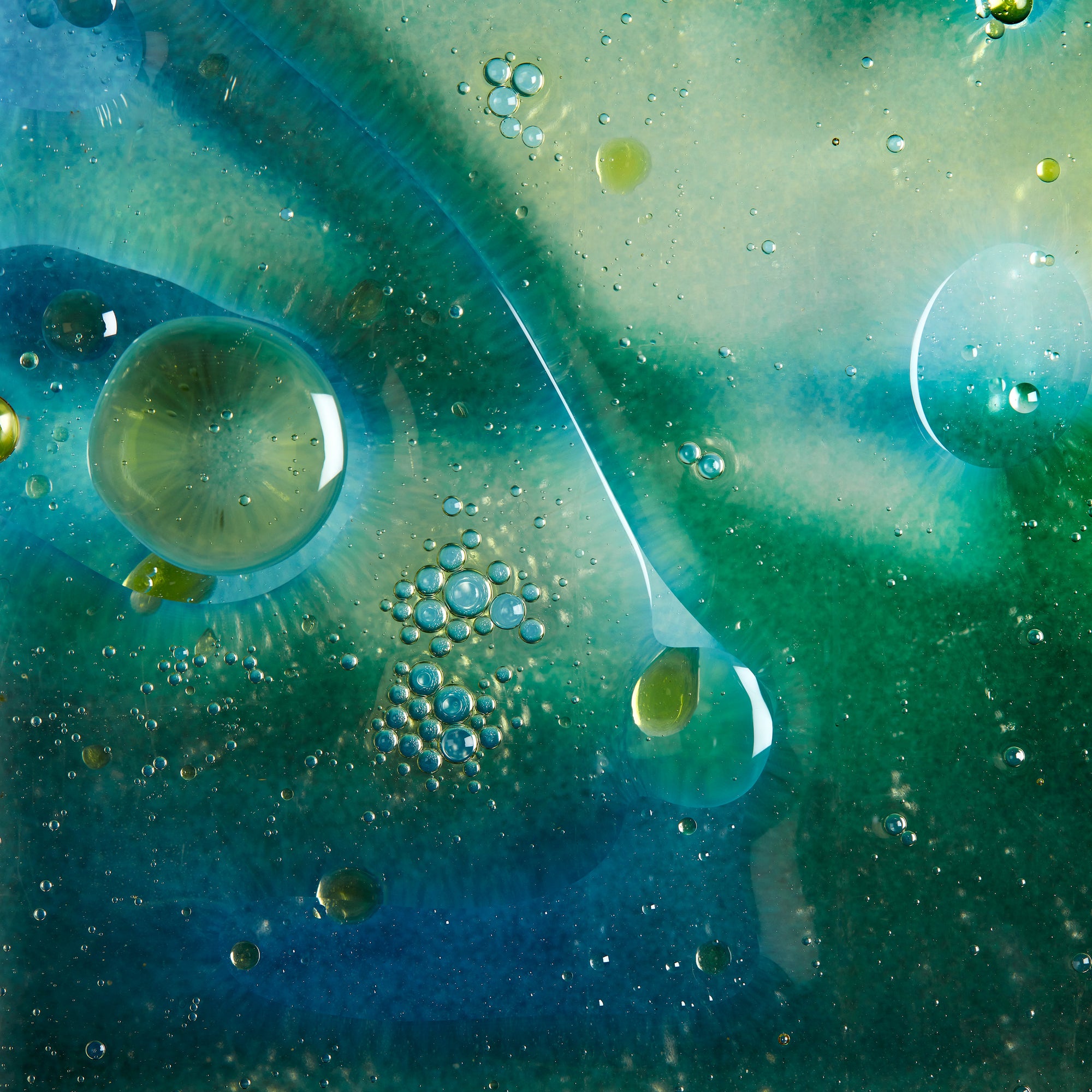 Hildegaard Haute Botanical